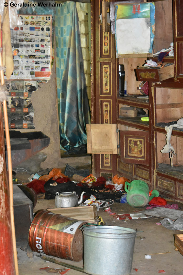 Wolf field research on the Qinghai Tibetan Plateau of China 2017 ...